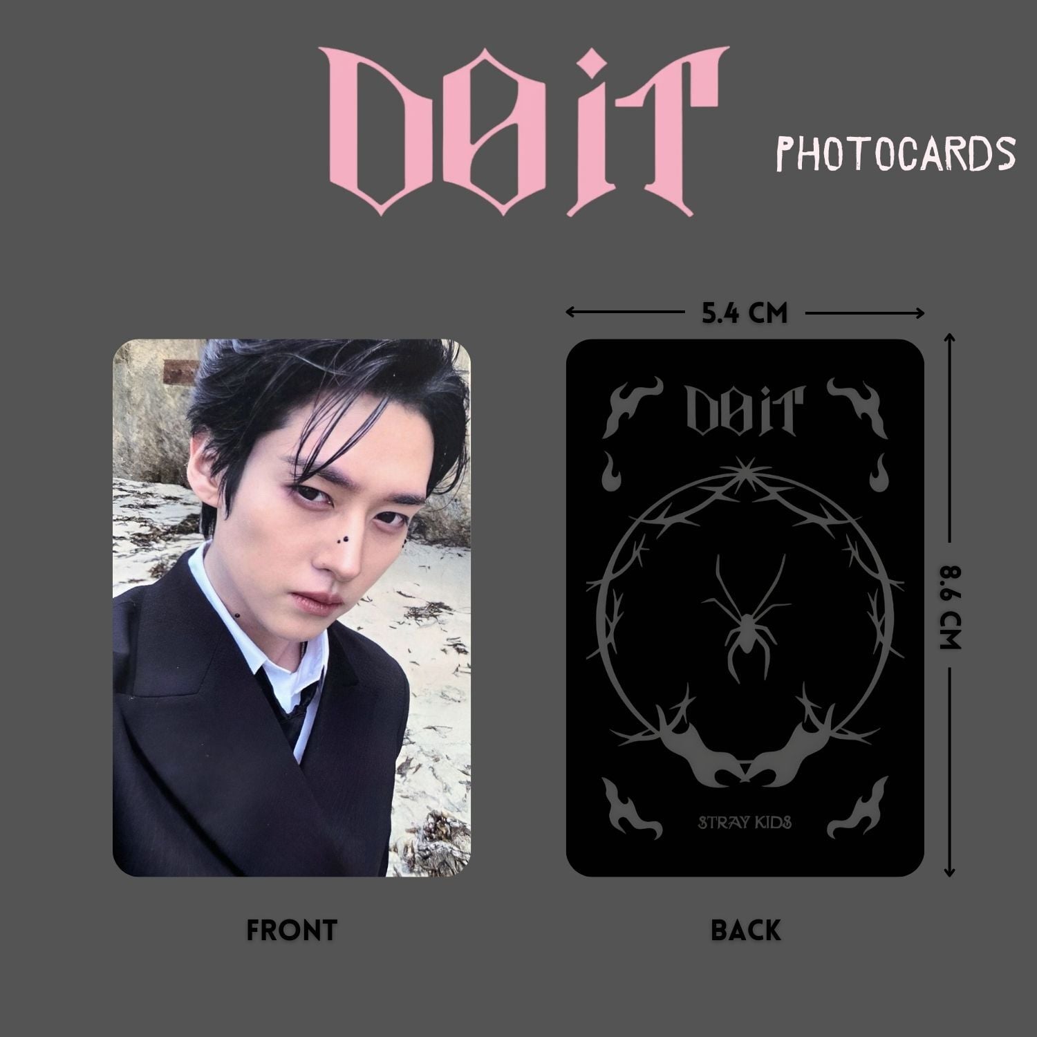 STRAY KIDS Lee Know '' DO IT '' Photocards Set
